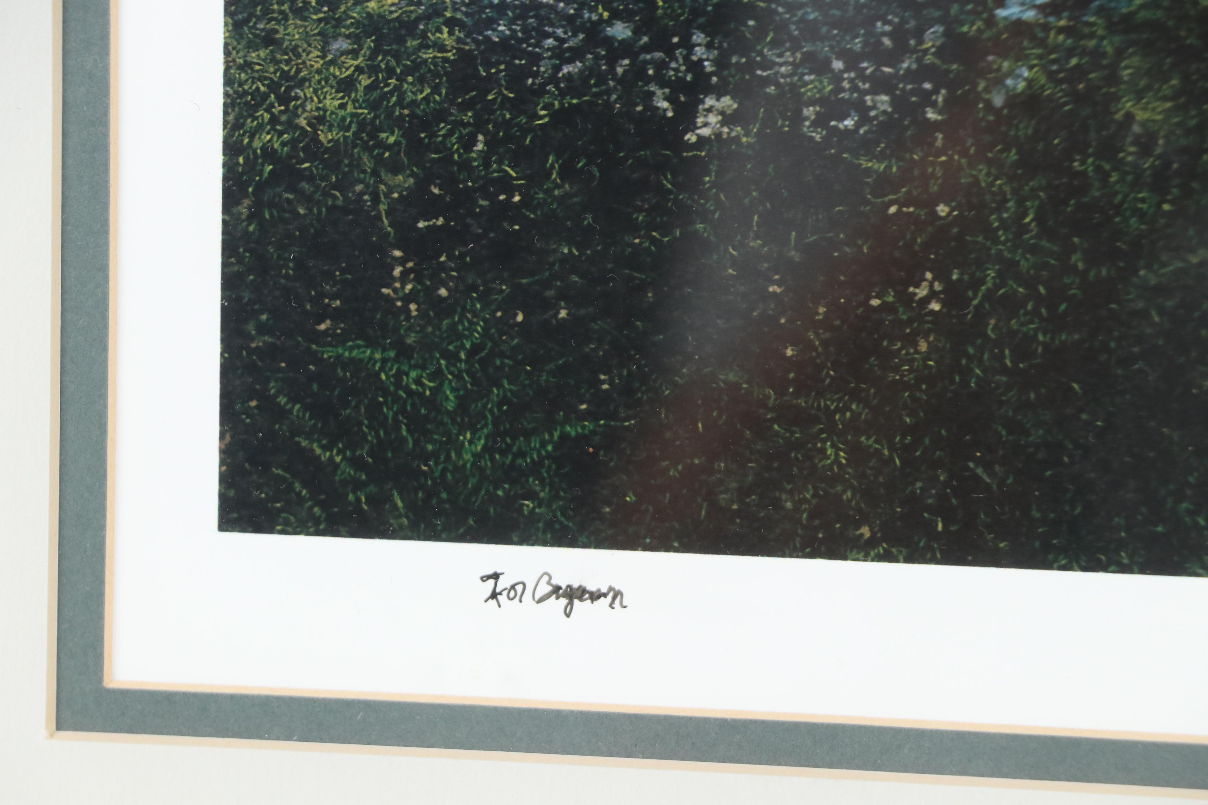 Johnny Alterman Giclée "Green Leaf / Dream Thought," 1999 | EBTH