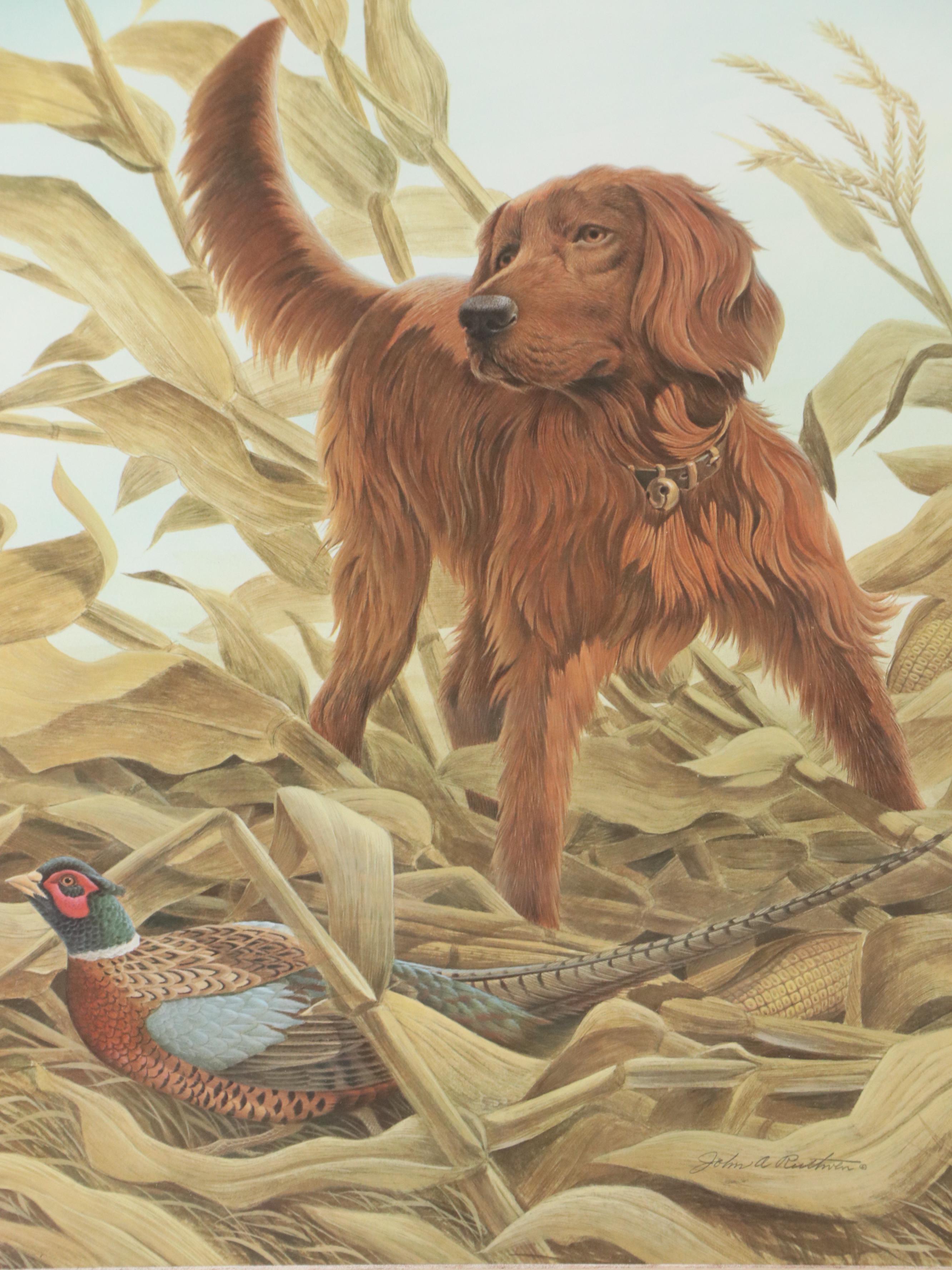 After John Ruthven Offset Lithograph "Scarlet: Irish Setter" | EBTH