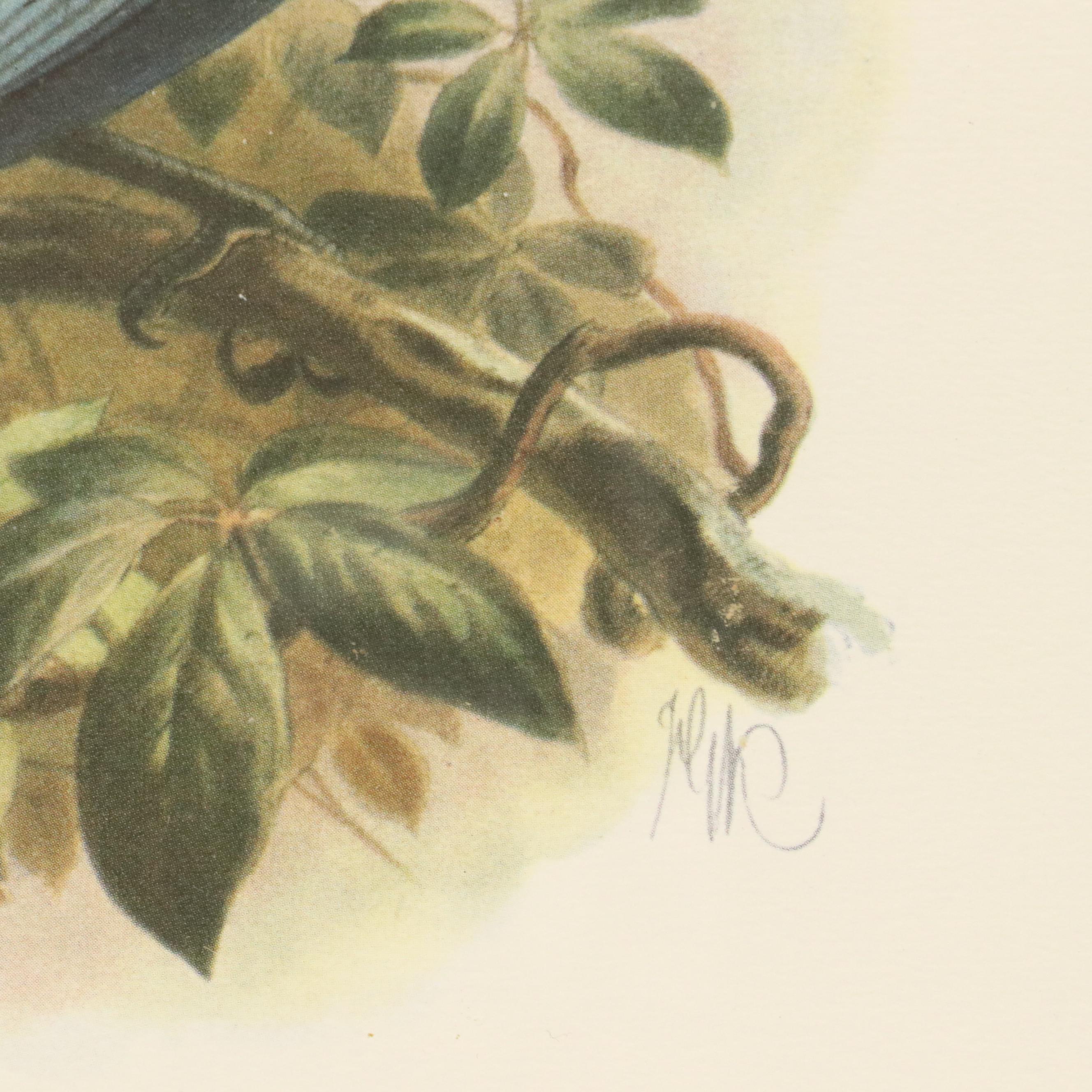 Ornithological Offset Lithographs After John Gerrard Keulemans | EBTH