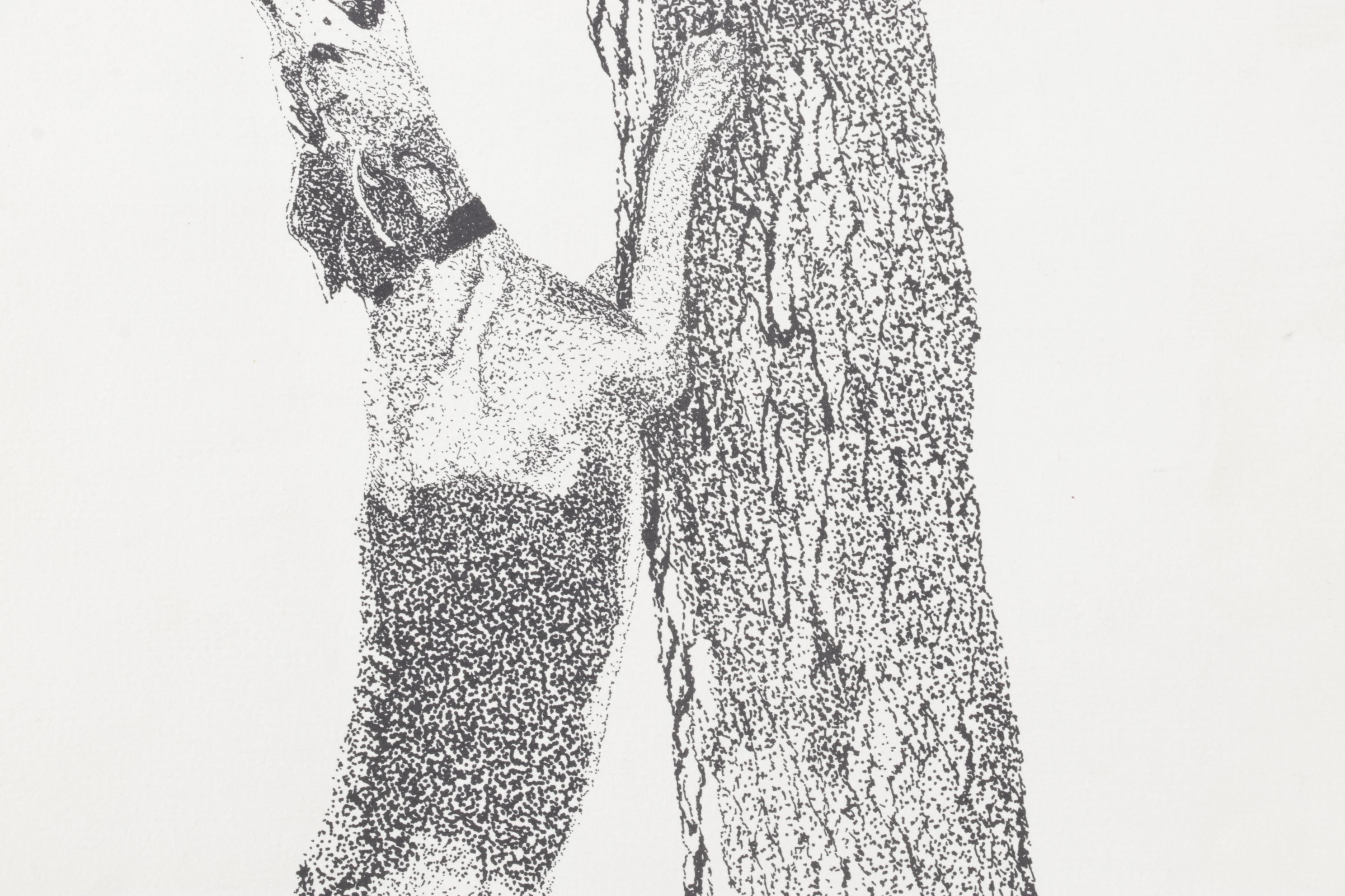 Allen Gregory Pointillism-Style Lithograph Portrait of Dog Barking Up ...