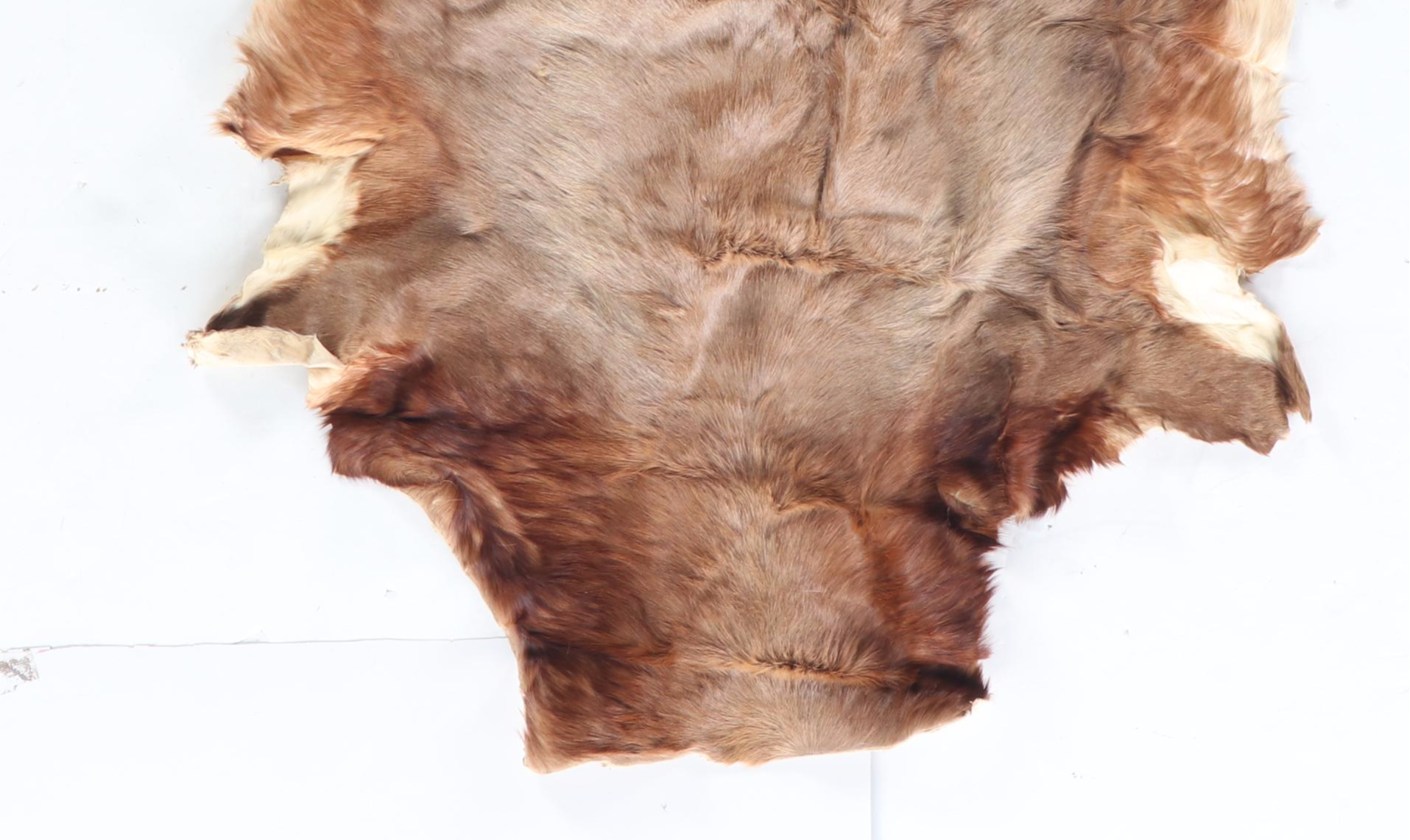 3'2 x 4'4 Antelope Hide Accent Rug | EBTH
