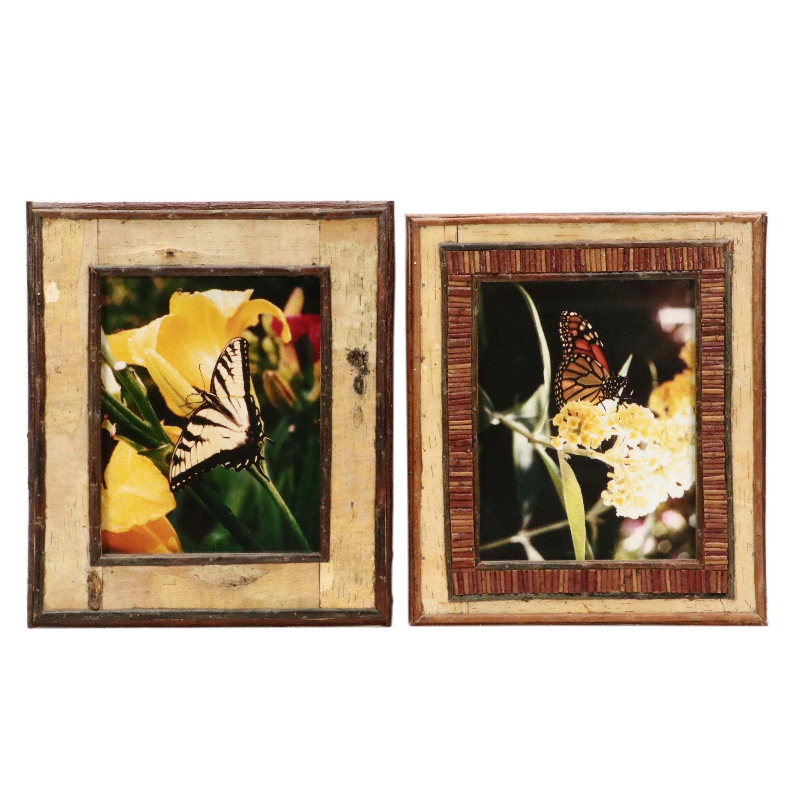 Robert Beaven Wooden Frames with Digital Prints of Butterflies | EBTH