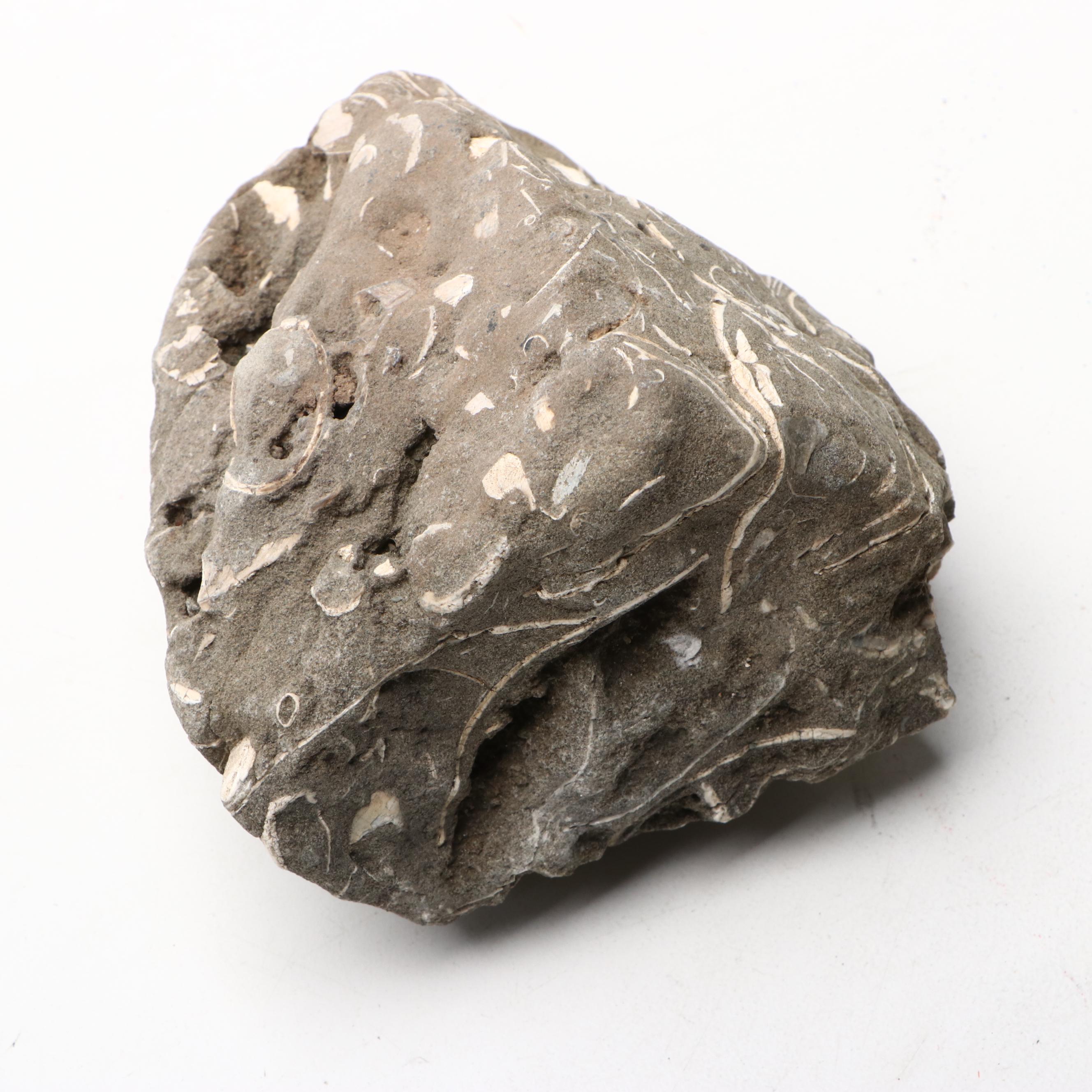 Rough Madagascar Ocean Jasper Lapidary Botryoidal Formation and More | EBTH