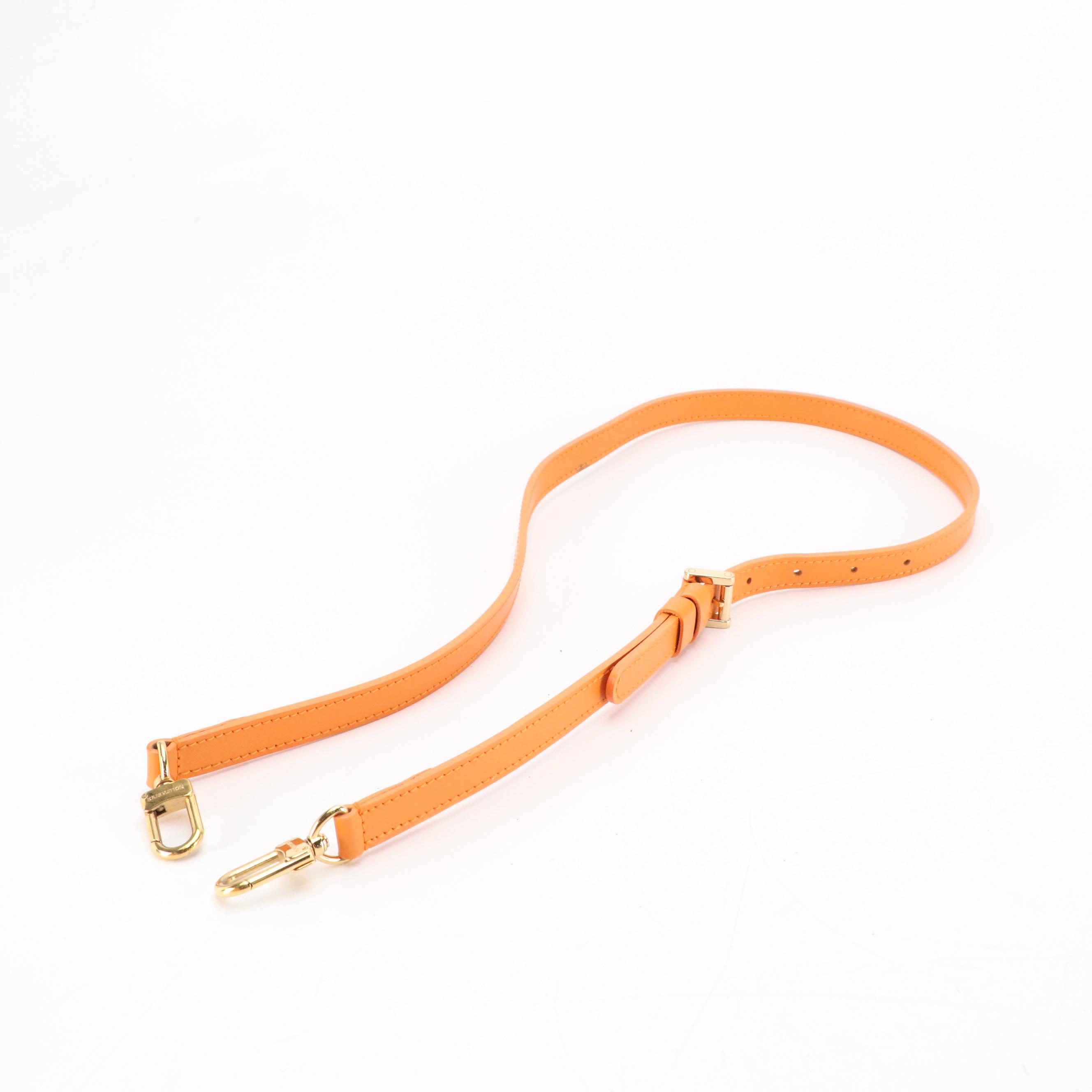 Louis Vuitton Dhanura PM Two-Way Bag in Mandarin Epi and Smooth Leather ...