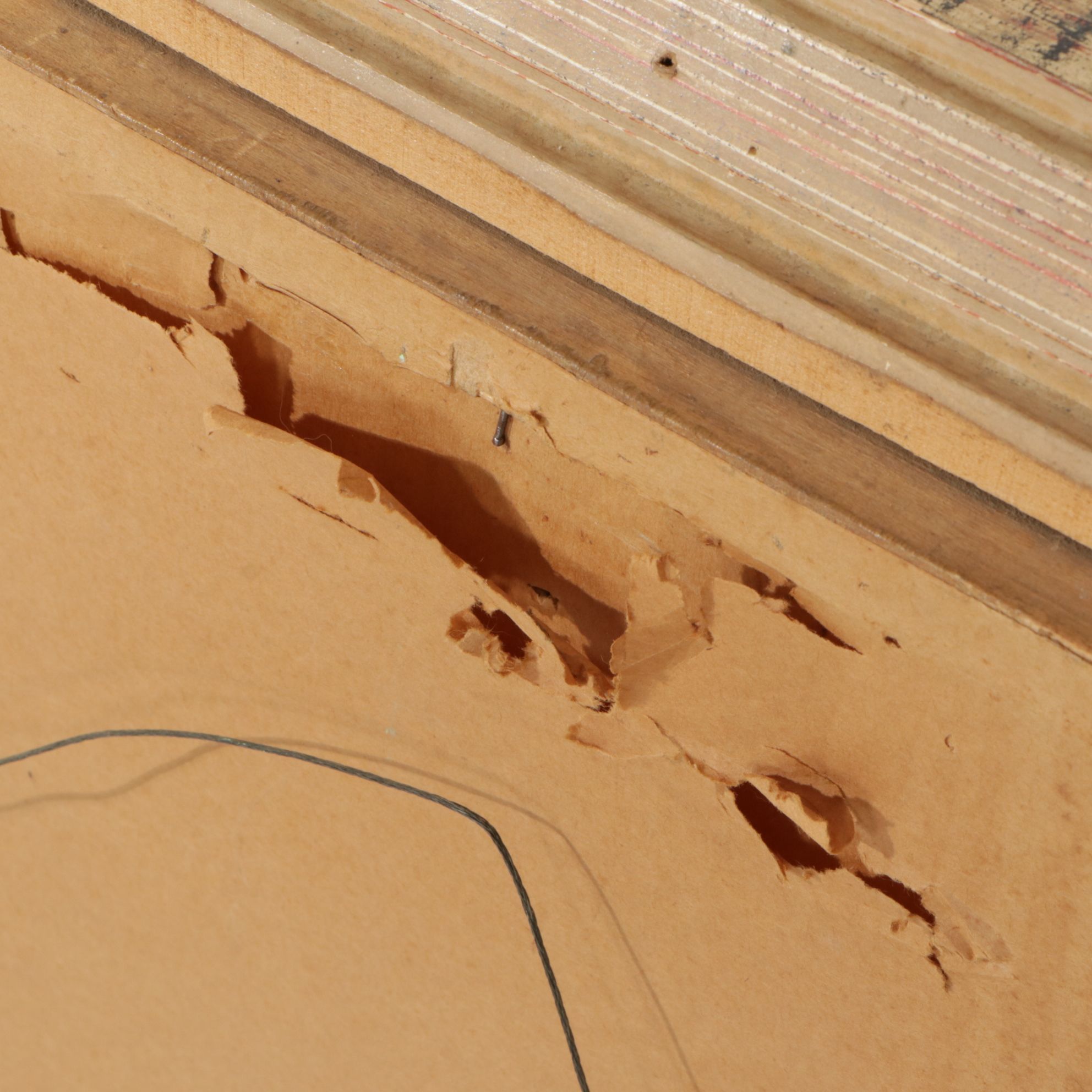 Oil Pastel Portrait Drawing of a Boxer Dog's Two-Thirds Profile, 1967 ...