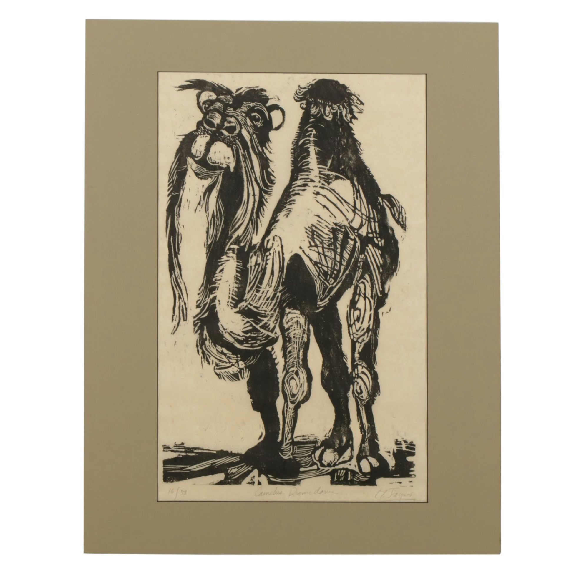 Michael Jacques Woodblock Print "Camelus Dromedarius", Mid to Late 20th Century | EBTH
