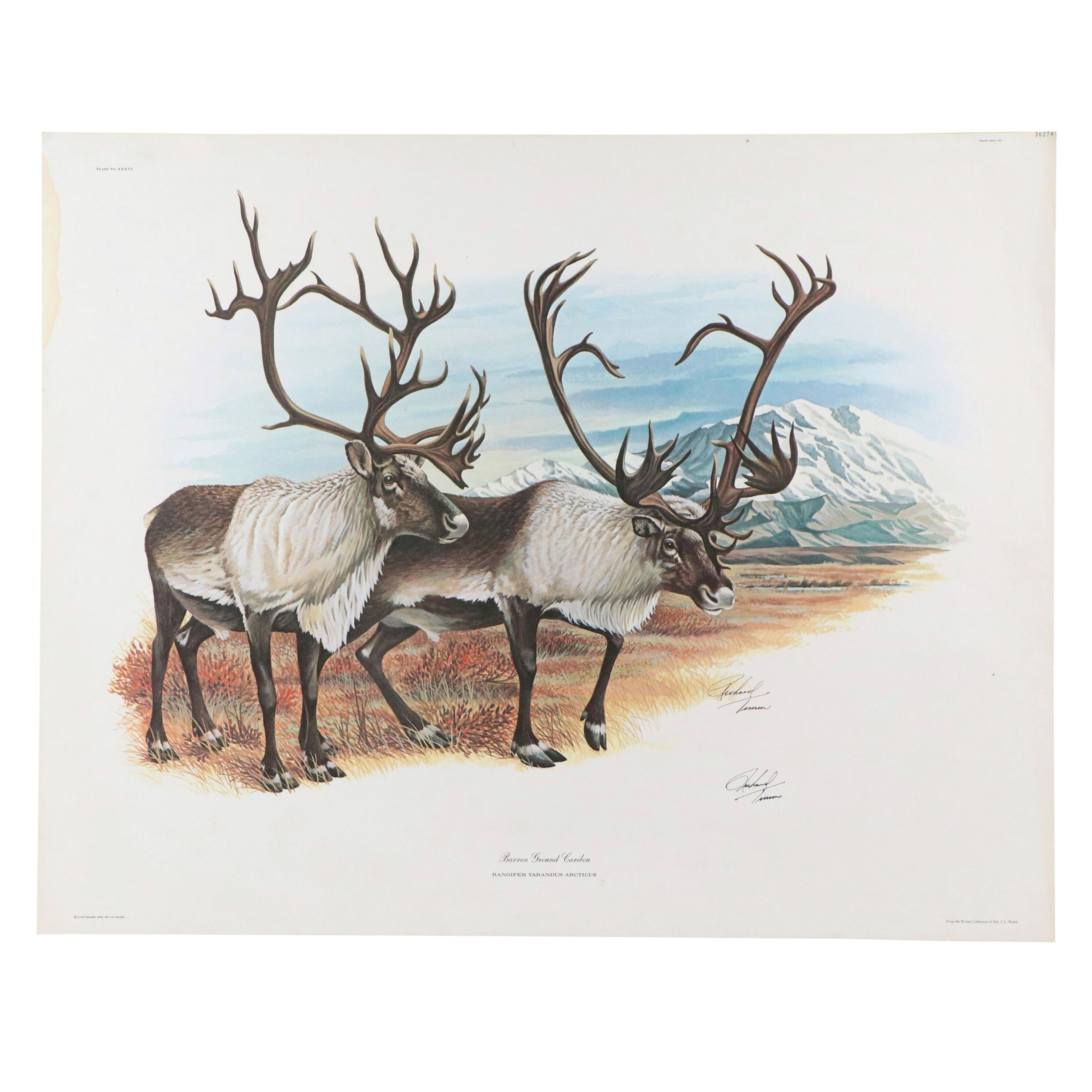 Richard Timm Offset Lithograph "Barren Ground Caribou," Late 20th ...