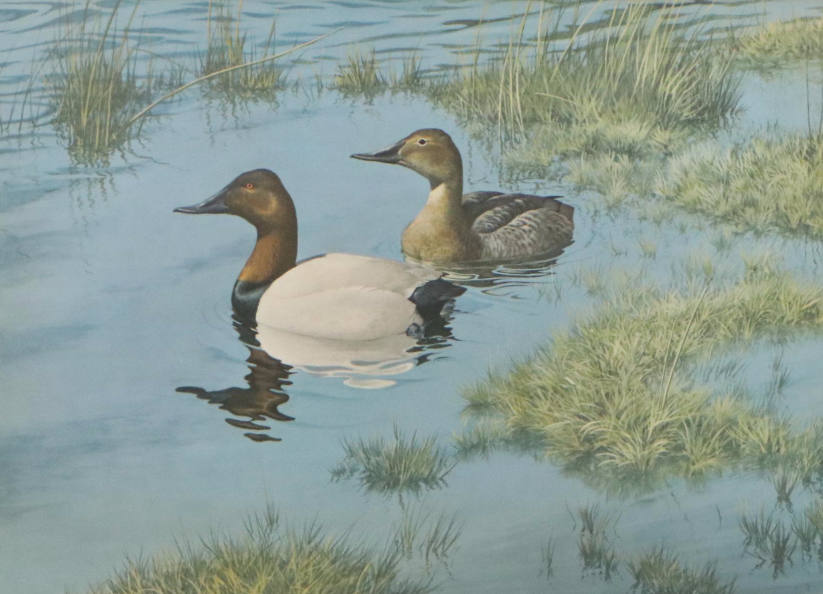 Robert Verity Clem Offset Lithograph "Canvasbacks," Circa 1965 | EBTH