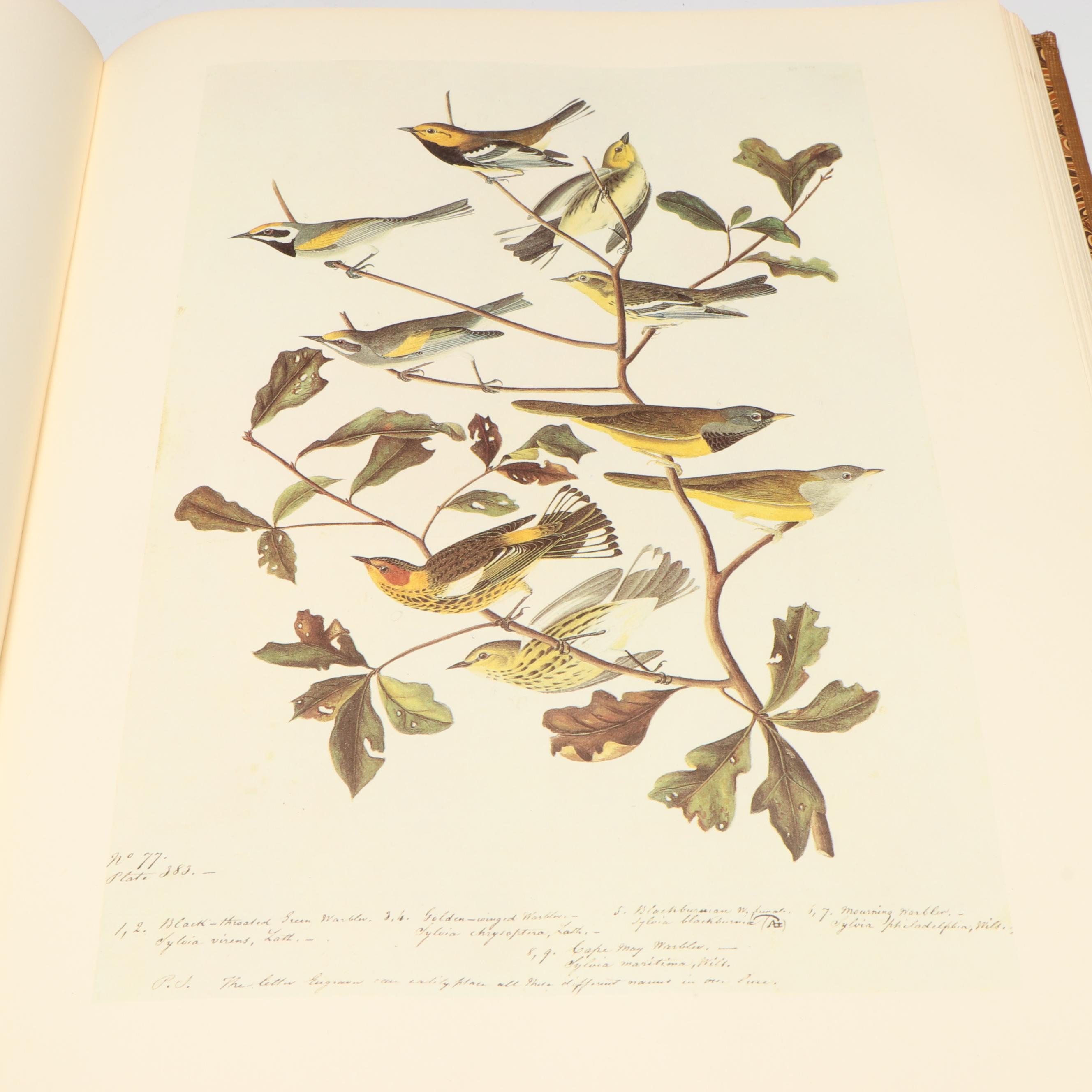 "The Original Water-Color Paintings by John James Audubon" Two-Volume ...