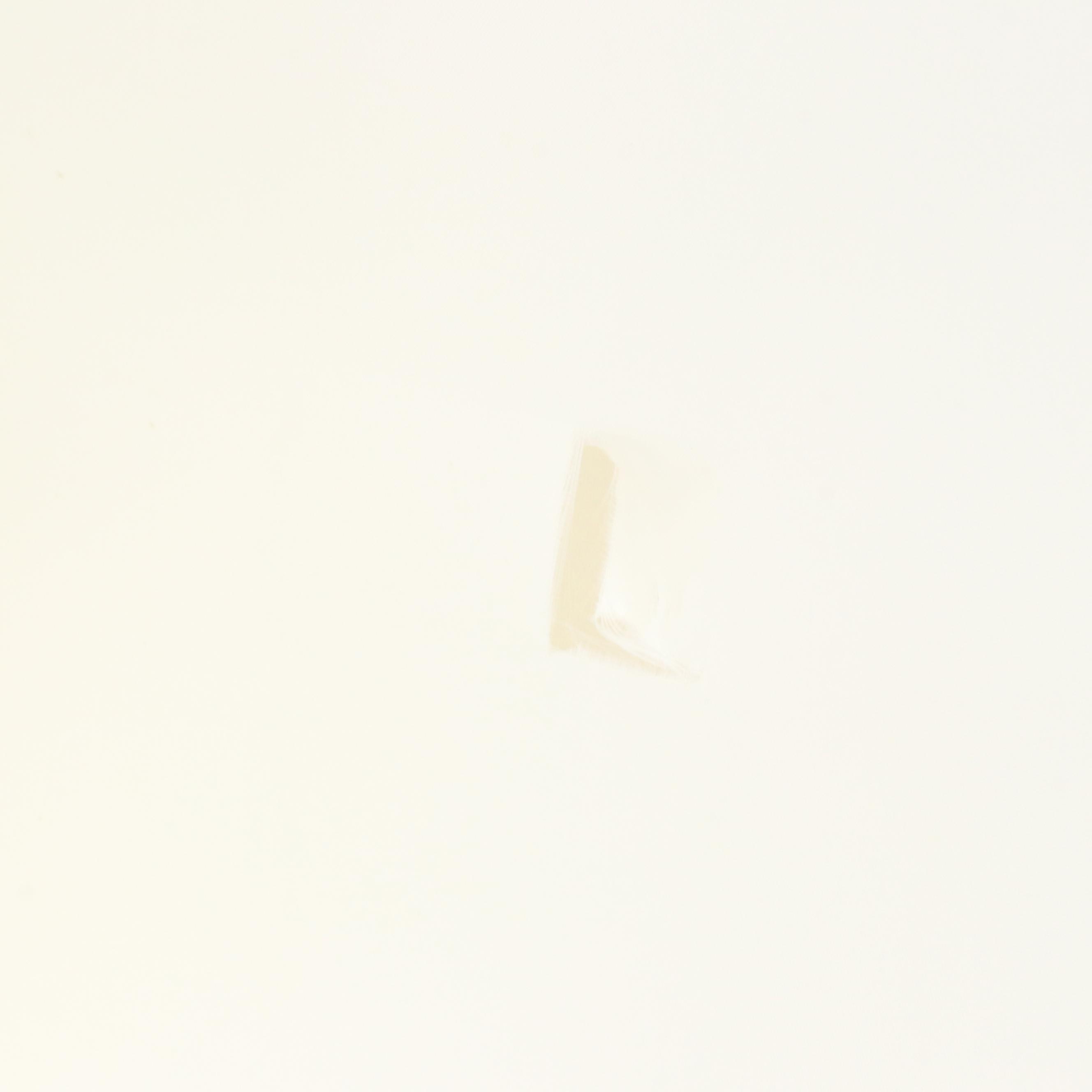 Ceramic Hand-Painted Pastel Irises on Vase Table Lamp and Silk Shade | EBTH