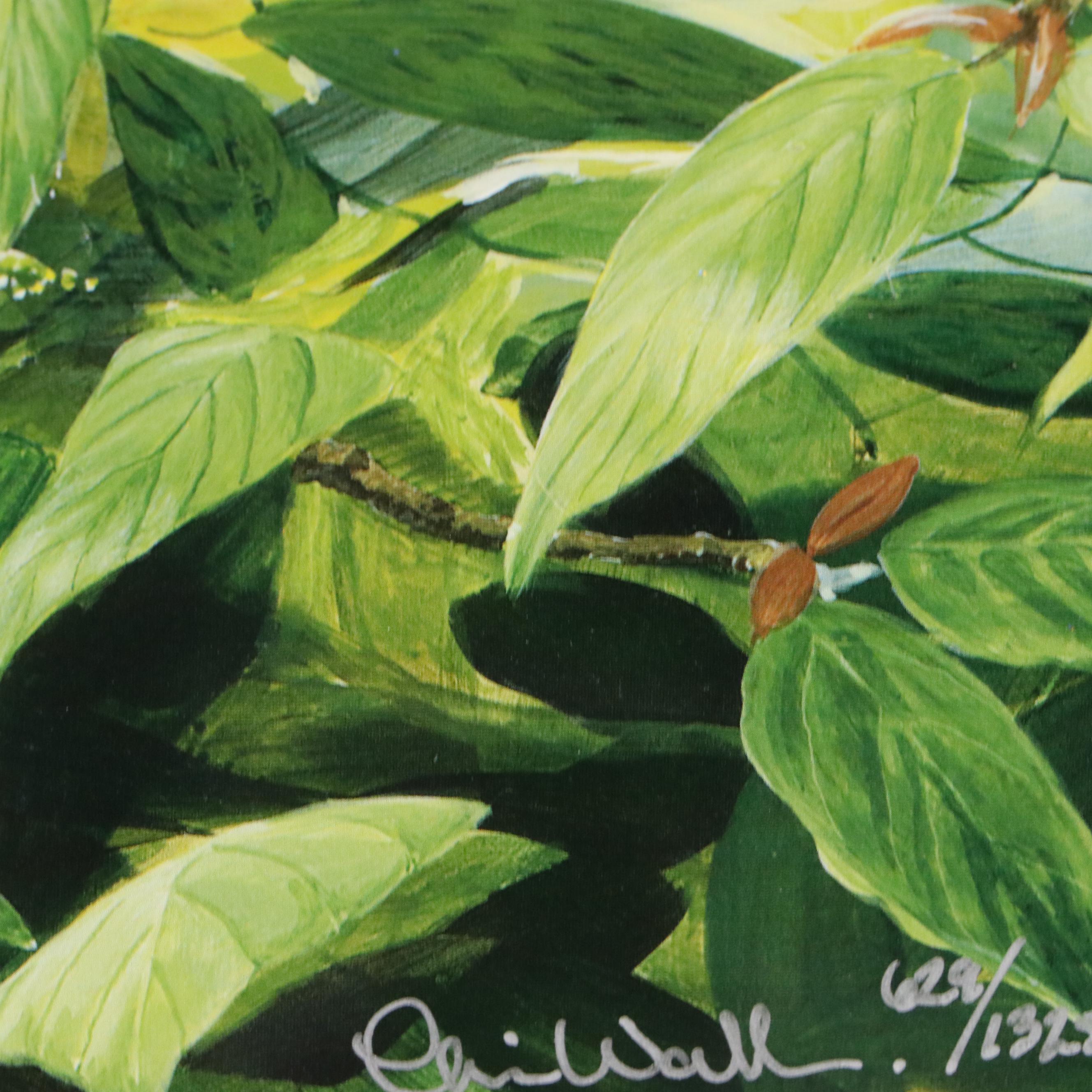 Christopher B. Walden Nature Scene Offset Lithographs | EBTH