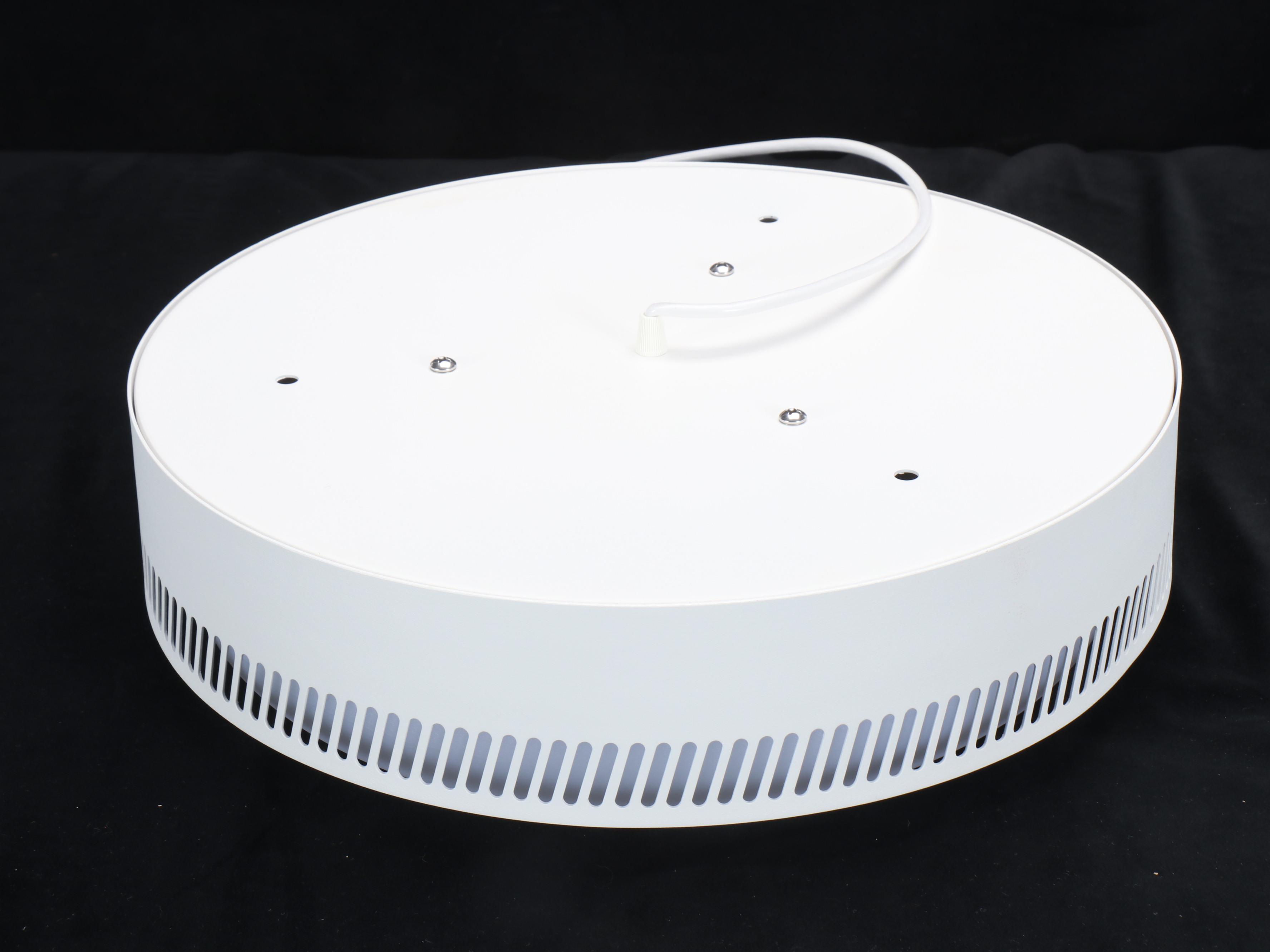 Foscarini White Flat Domed Light | EBTH