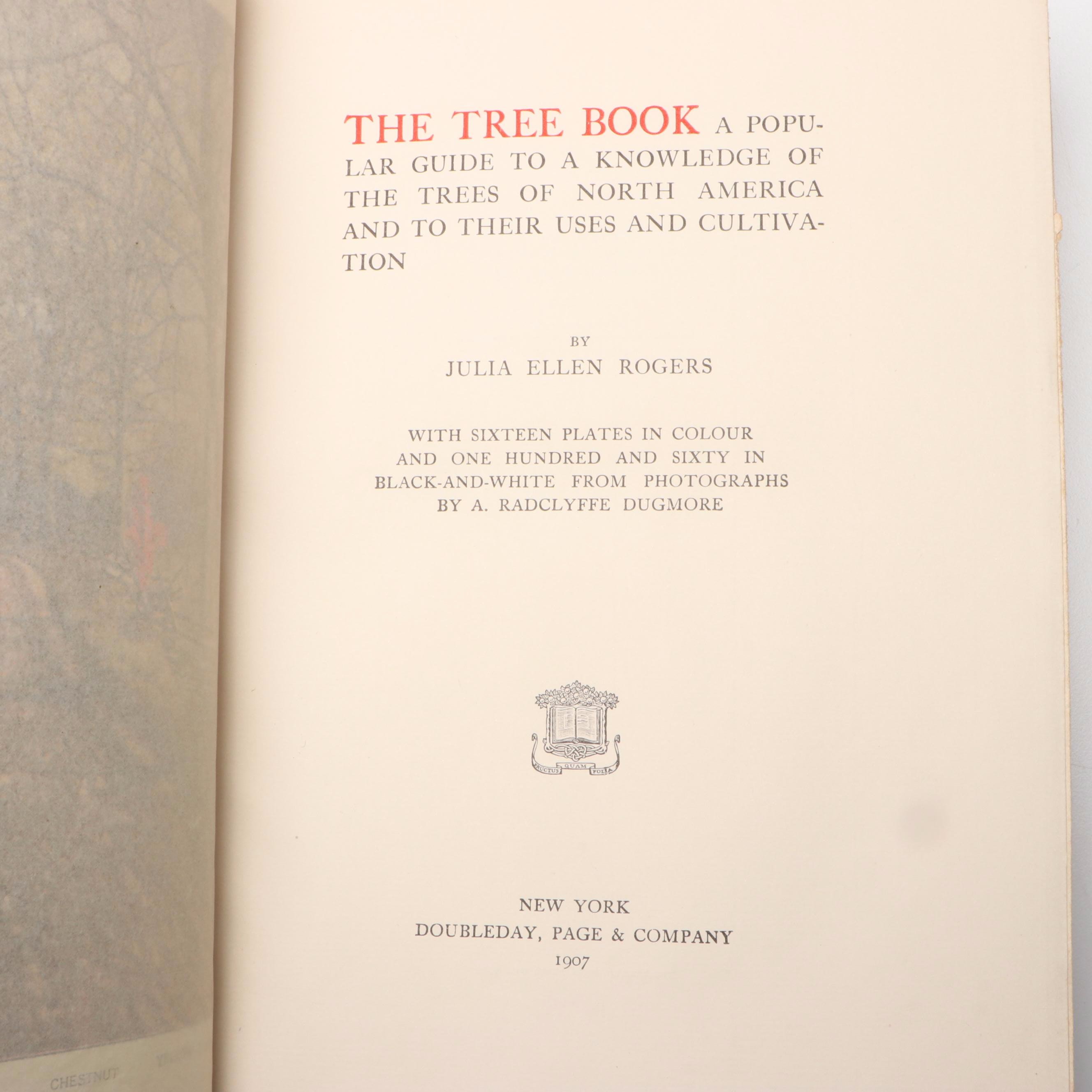 First Edition "The Shell Book" by Julia Ellen Rogers and More Books | EBTH