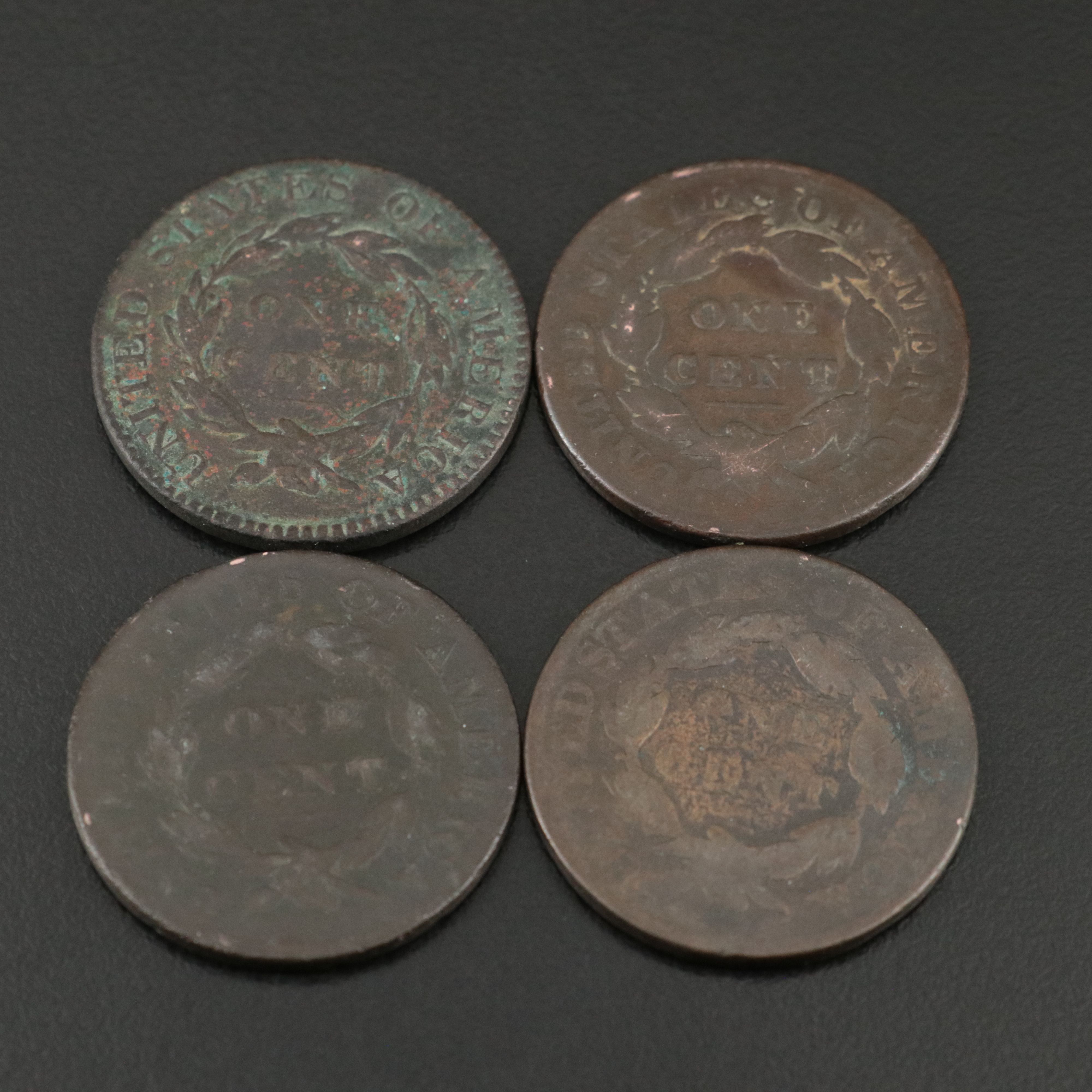 Thirteen Different Matron Head Large Cents | EBTH