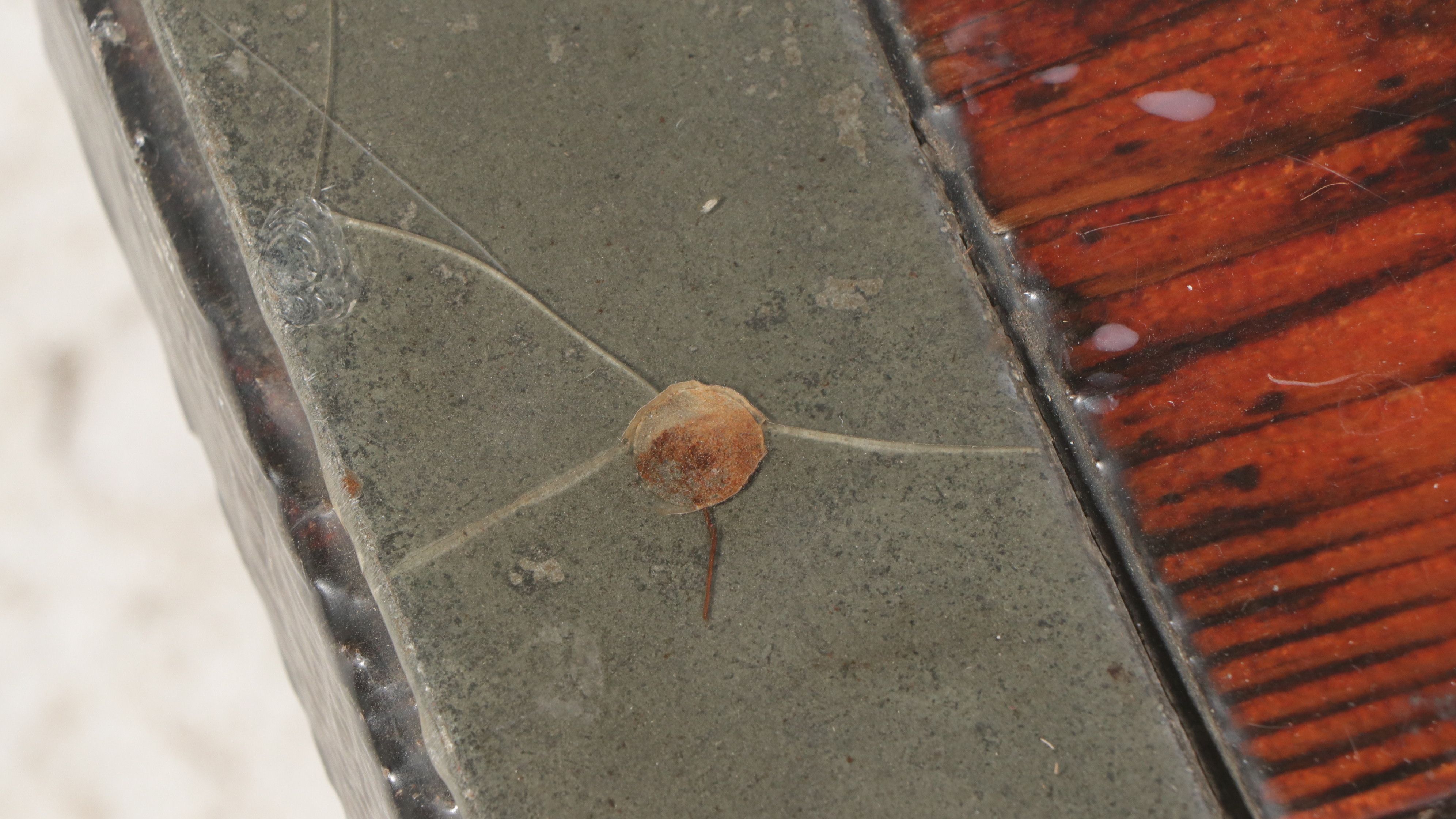 Industrial Reclaimed Wood Coffee Table with Metal Binding and Iron ...