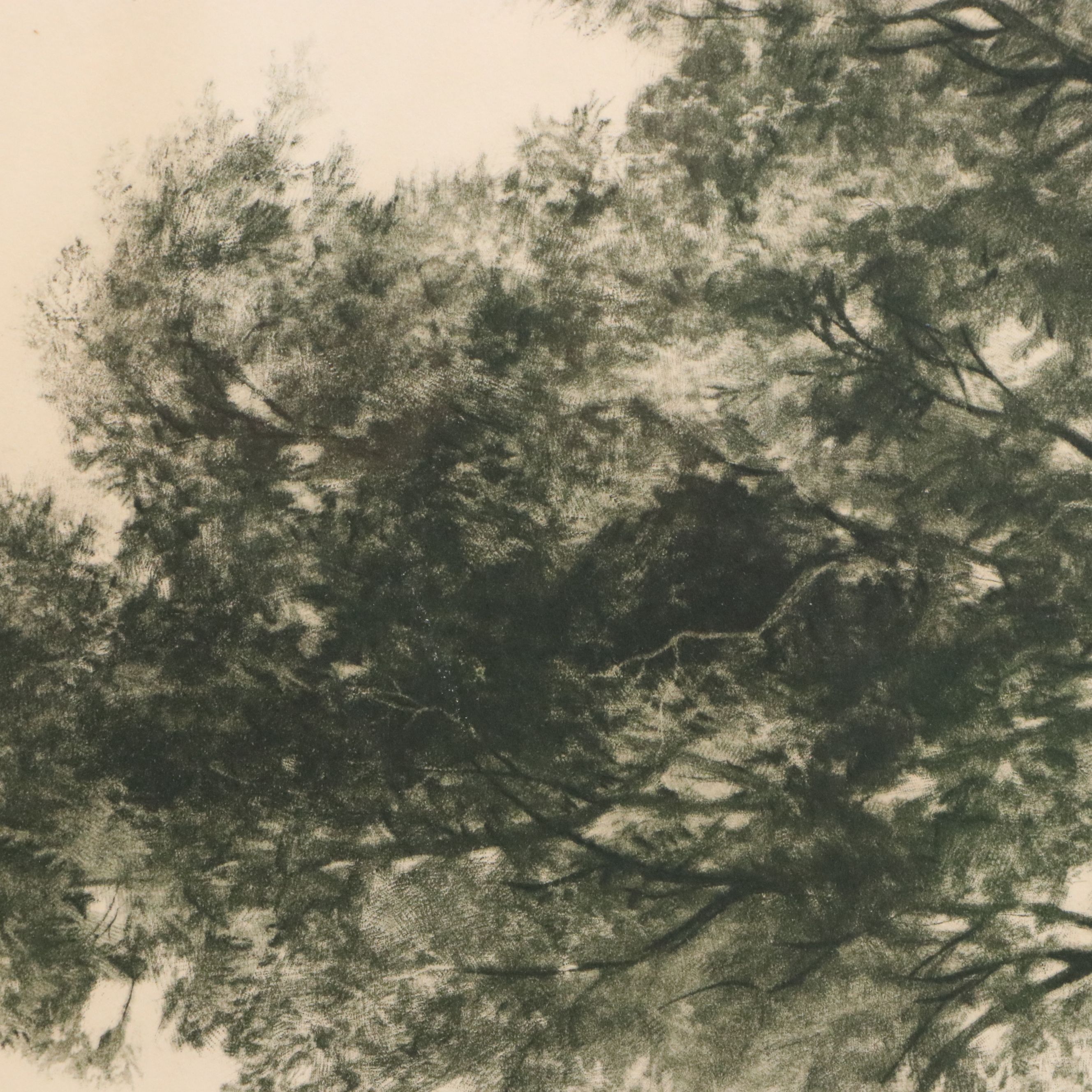 Gatja Helgart Rothe Mezzotint "Rosescape" | EBTH