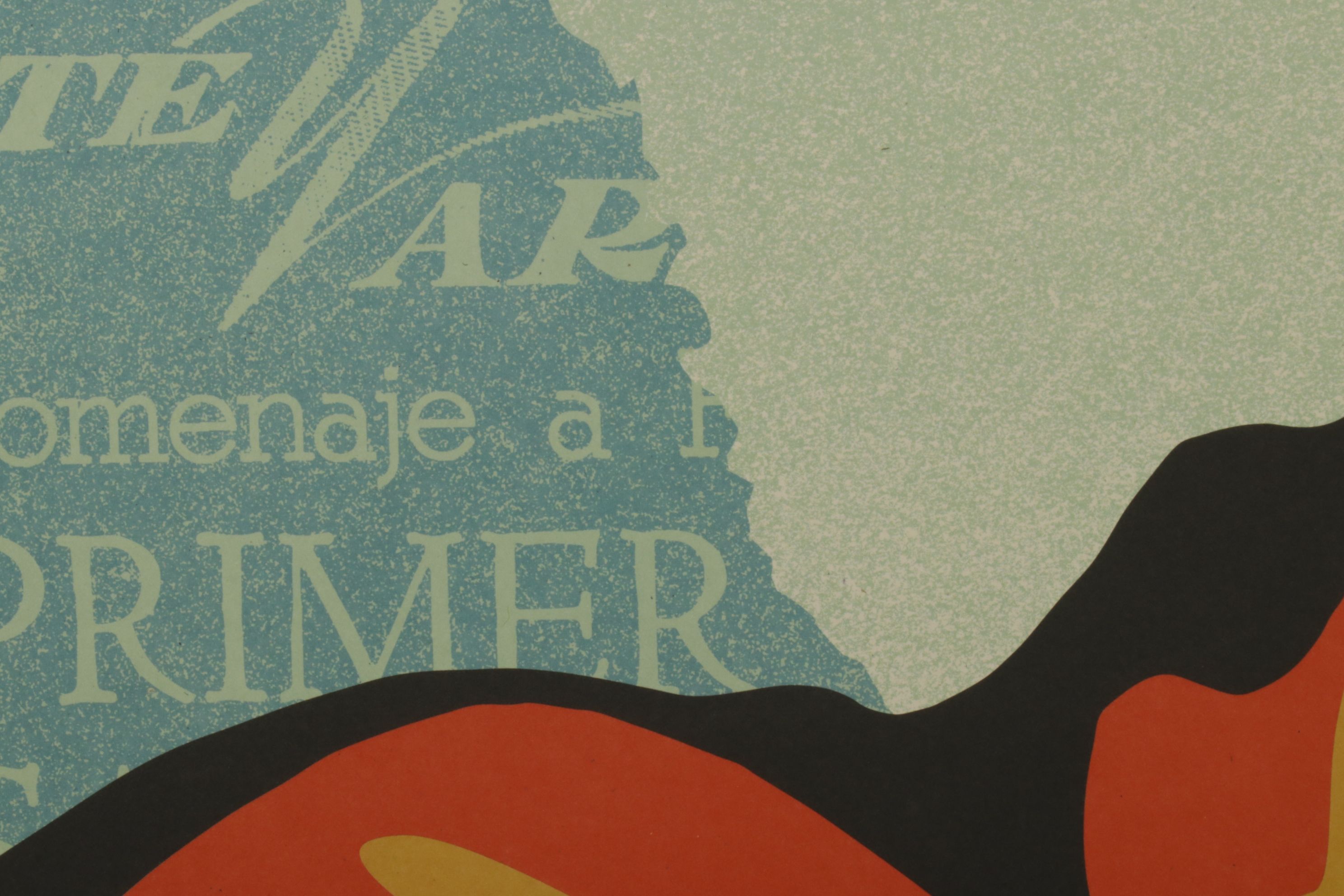 Shepard Fairey Offset Lithograph "The Woman Who Defeated Pain (Frida ...