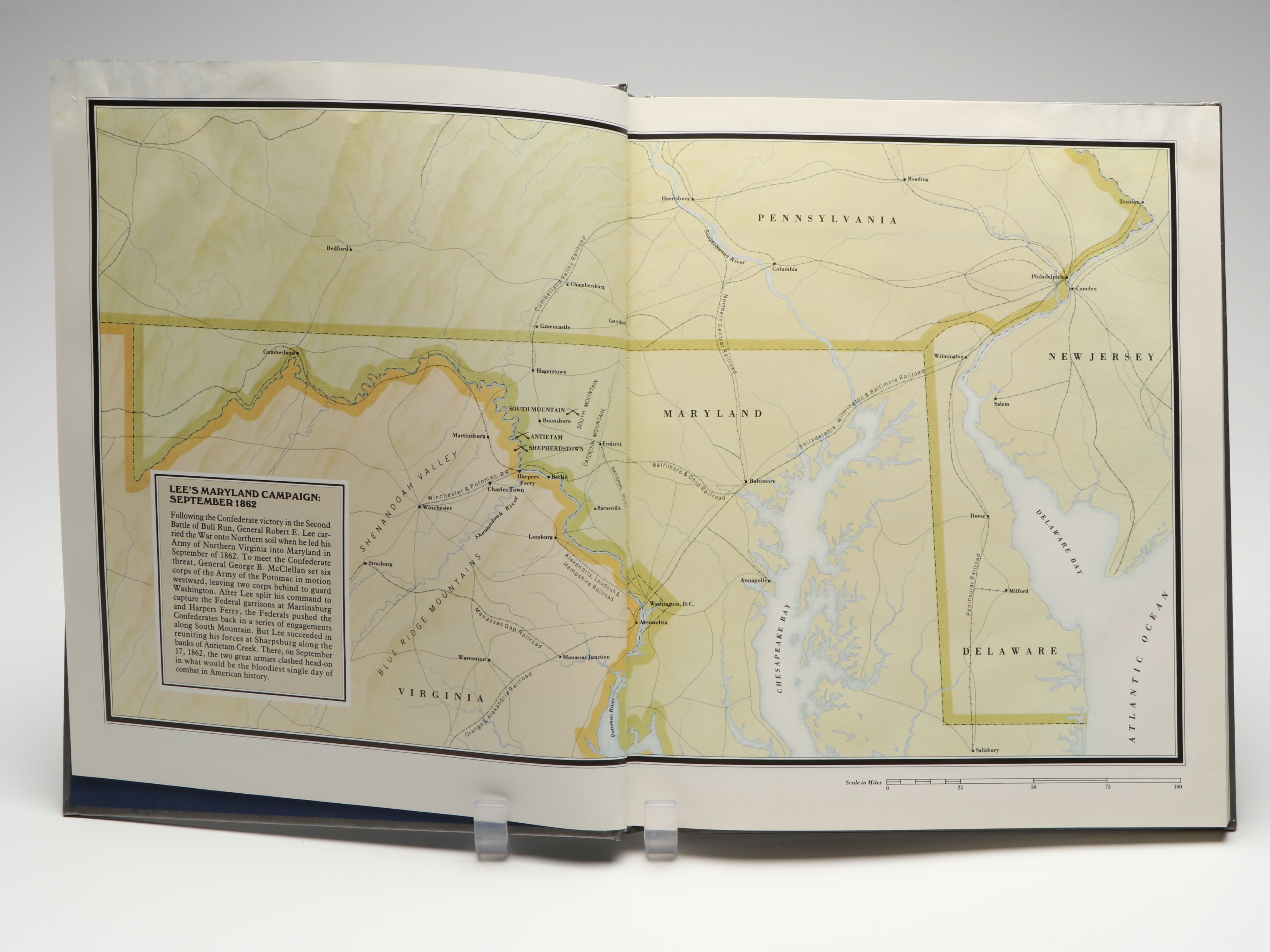 "The Life of Andrew Jackson," "The Civil War" and More U.S. History ...