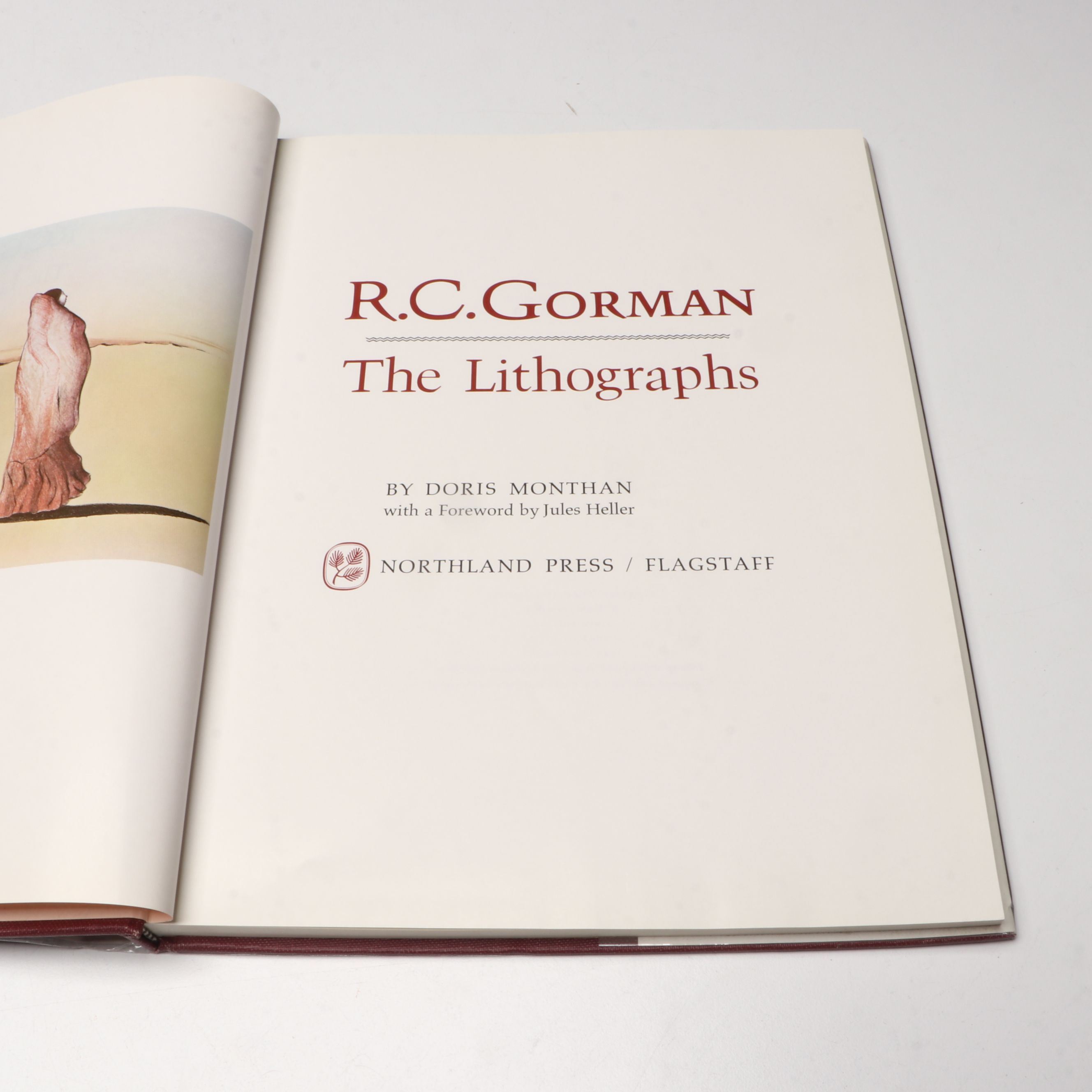 "The Art & Life of Georgia O'Keeffe" and More Art History Nonfiction ...