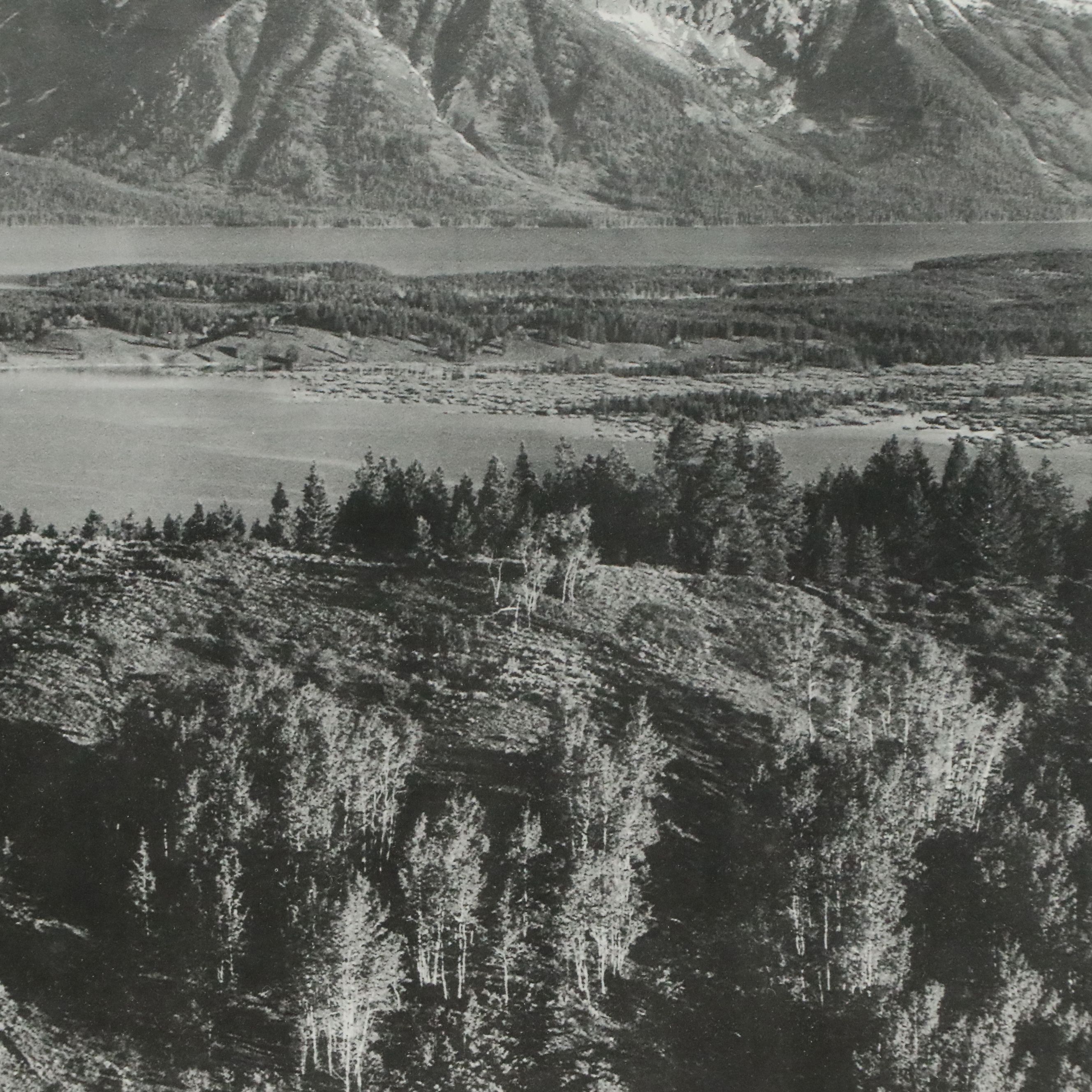 Halftone After Ansel Adams "Ansel Adams: The Mural Project" | EBTH