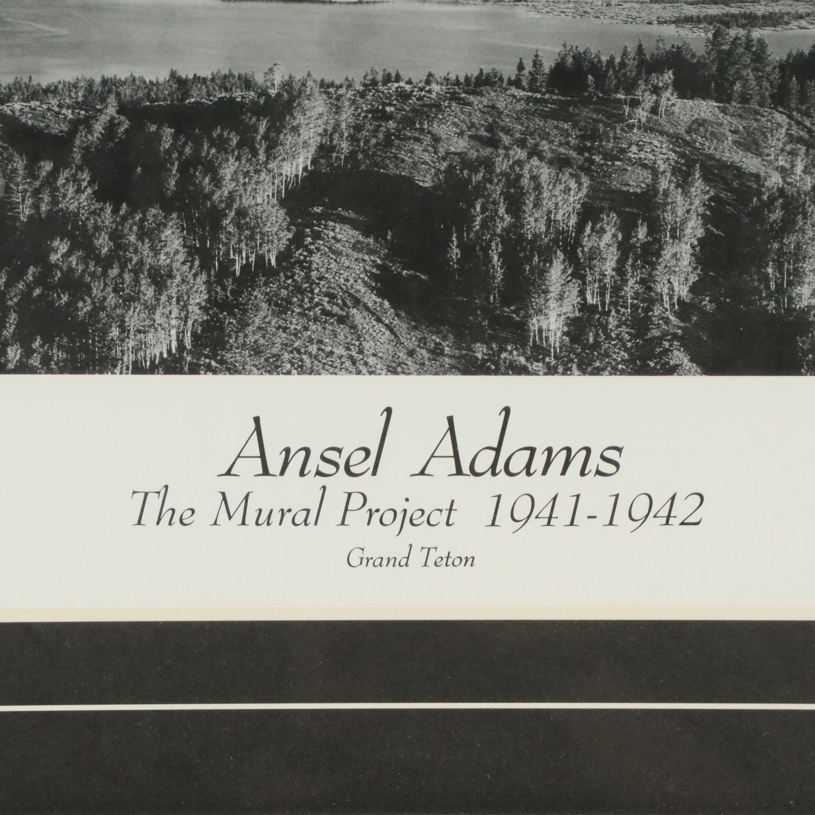 Halftone After Ansel Adams "Ansel Adams: The Mural Project" | EBTH